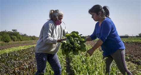 D A Internacional De Las Mujeres Rurales Por Qu Se Conmemora El
