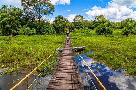 4 Facts About The Beautiful And Exotic Brazilian Pantanal Gotogether DMC