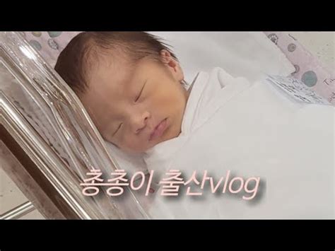 출산vlog 제왕절개 후불제 고통 산후조리원 YouTube