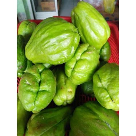 Jual Labu Siam Besar Shopee Indonesia