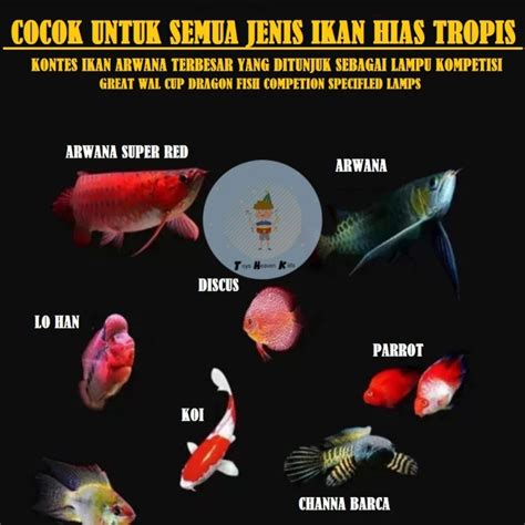 Jual Lampu Led View Mayin Aquarium Ikan Arowana Arwana Packing Pvc