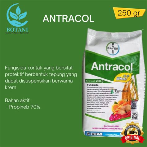 Jual Fungisida Antracol 70 WP 250 Gram Shopee Indonesia