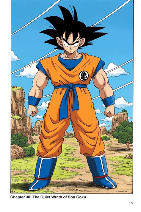 Dragon Ball Z Colored