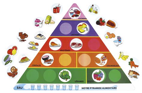 La Pyramide Alimentaire Asco Celda