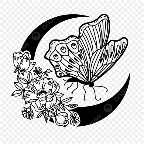 Butterfly Side Outline Clip Art