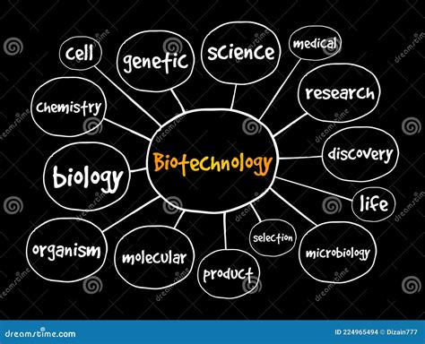 Concepto De Mapa Mental De Biotecnología Para Presentaciones E Informes
