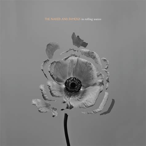 Album Review The Naked And The Famous In Rolling Waves BandWagon