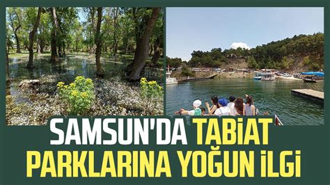Samsun daki tabiat park ve sulak alanlar 42 bin kişiyi ağırladı