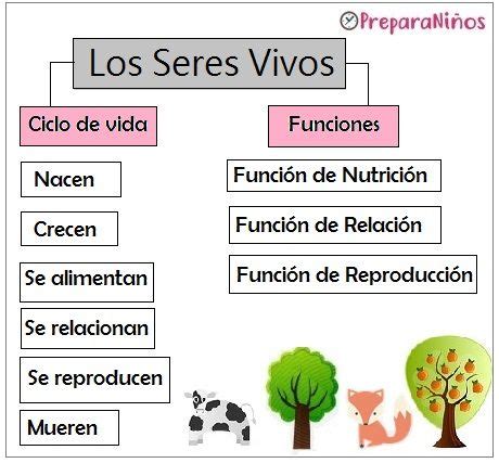 Seres Vivos para niños de primaria Características Clasificación