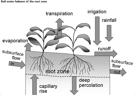 [pdf] crop evapotranspiration guidelines for computing crop water requirements semantic scholar