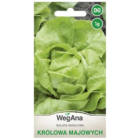 Sałata Królowa Majowych nasiona 1g nasiona WegAna WegAna Sklep