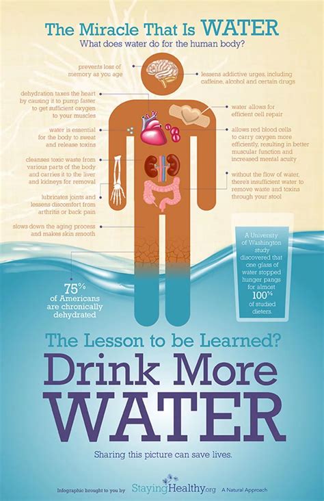 Water 46 Health Infographics That You Wish You Knew Years Ago