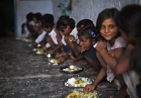 Erradicaci N Del Hambre Y La Desnutrici N En El Mundo Hechos A