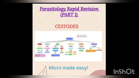Microbiology Rapid Revision Parasitology Part Youtube