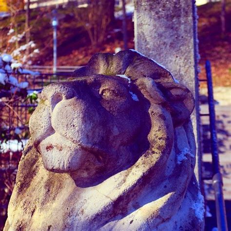 Löwenstatue an der Treppe am Hofgarten Neuburg neuburgcom