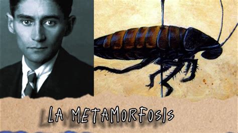 LA METAMORFOSIS RESUMEN Franz Kafka YouTube