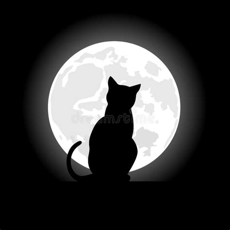 Cielo De La Estrella De Grey Cat Looking Up In Night Ilustraci N Del