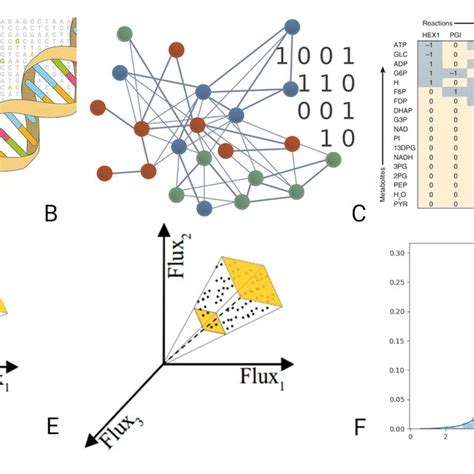 pdf geometric algorithms for sampling the flux space of metabolic networks