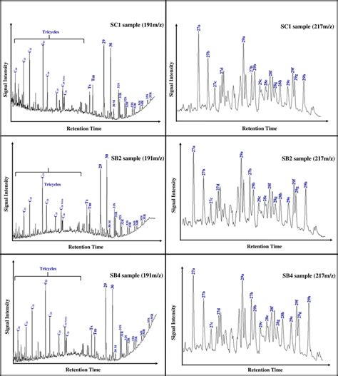 Mass Fragmentograms Of M Z 191 And M Z 217 Of Saturated Hydrocarbons