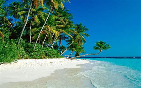 3D Beach 3d Sea Beach HD Wallpaper Pxfuel