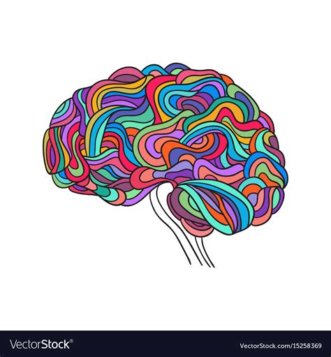 Human Brain Royalty Free Vector Image Vectorstock