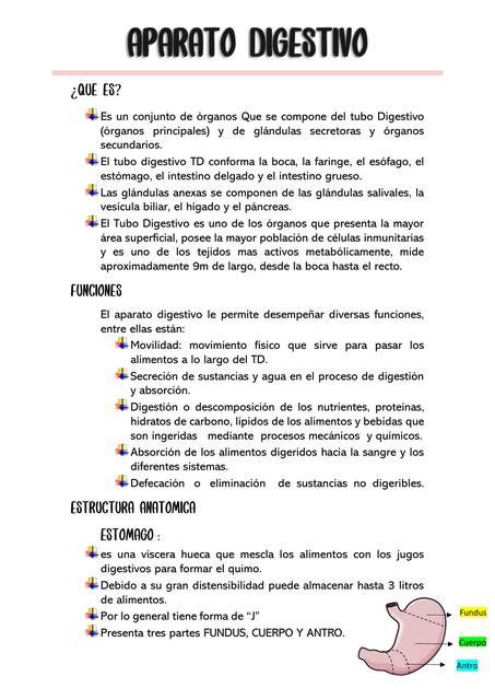 Aparato Digestivo Nicolle Rojas Udocz