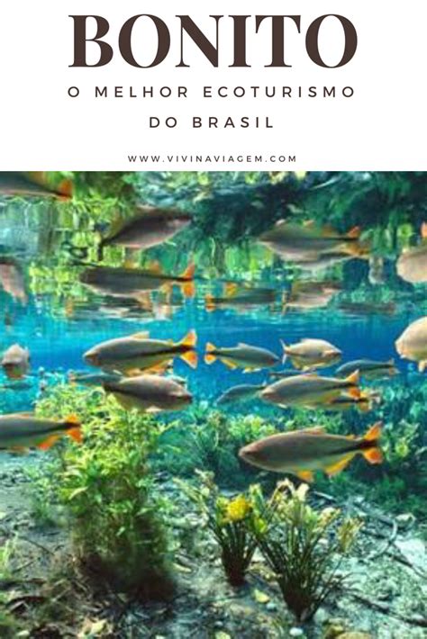 Bonito Ms O Que Fazer Passeios E Dicas De Quem Conhece Bem A Cidade