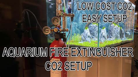 How To Aquarium Fire Extinguisher Co Setup Aquascaping Co Setup