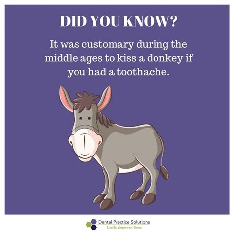 Pin By Nancy Owens Merenda On Did You Know Fun And Interesting Facts