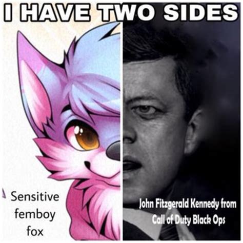 Femboy Fox I Have Two Sides Know Your Meme