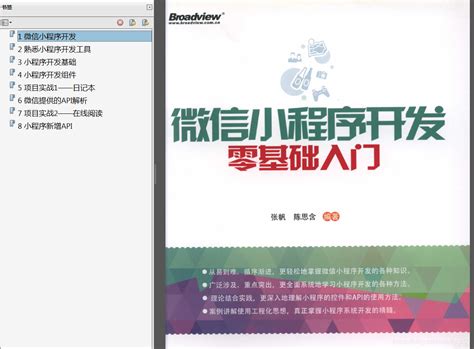 前端《vuejs从入门到项目实战》pdf课件《微信小程序实战入门第2版》pdf代码调试vuejs 项目开发实战pdf Csdn博客