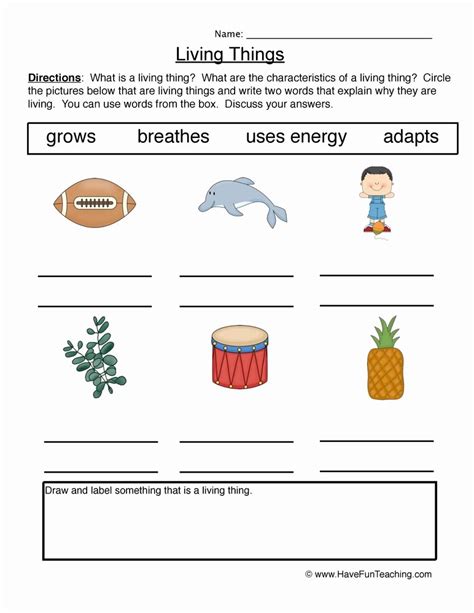5 Characteristics Of Living Things Worksheets