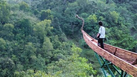 Panorama Alam Yang Menakjuban 5 Wisata Di Pangandaran Yang Wajib Kamu