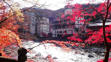 Shiobara Onsen Area SNOW MONKEY RESORTS