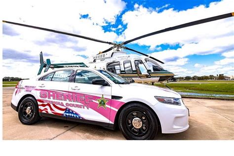 Live Pd Volusia County 2025 Letta Lilian