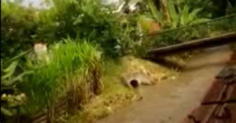 G1 Chuva rápida provoca estragos em vários bairros de Sorocaba