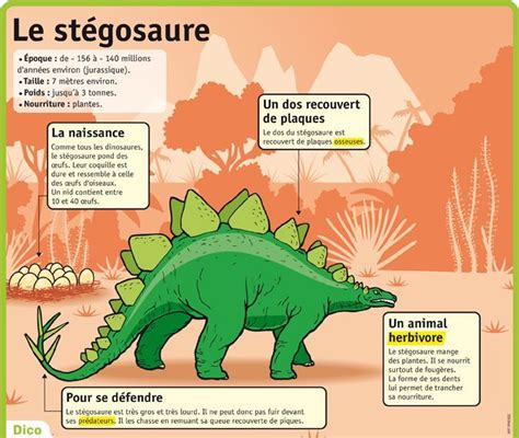 Science Infographic And Charts Dans La S Rie Les Dinosaures