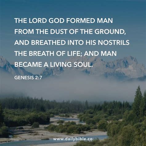 Genesis The Lord God Formed Man From The Dust Of The Ground And