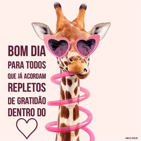 Frases De Bom Dia Para Instagram Cheias De Paz E Gratid O Amaluz