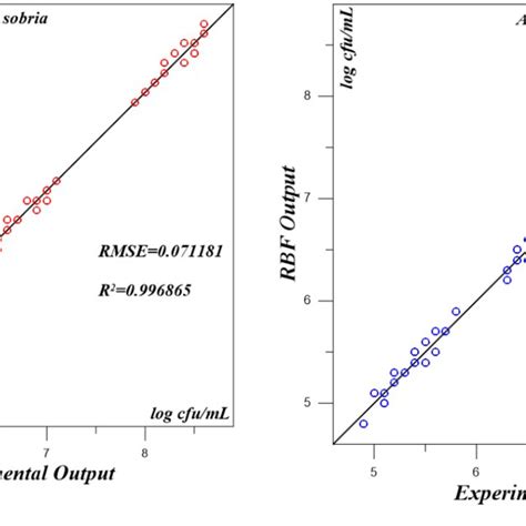 correlation between neural network model predictions and experimental download scientific
