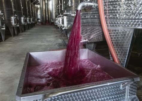Vinificação Que Produz Uva De Vinho Em Tanque Tanques De Fermentação