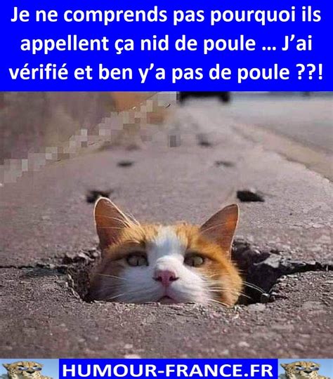 Je ne comprends pas pourquoi ils appellent ça nid de poule Jai