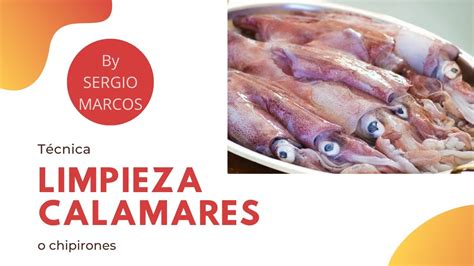 Como limpiar calamares o chipirones Fácil y rápido LECCIÓN 9
