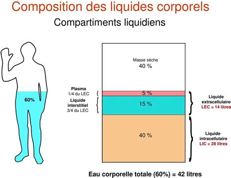 Comment bien s hydrater durant l été Julia Monnier naturopathe