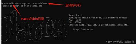 nacos报错 ERROR Nacos failed to start please see D nacos logs nacos