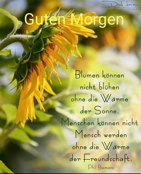 Pin von Amanda Schmierer auf Guten morgen Schöne guten morgen sprüche