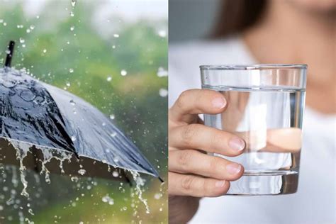 Utiliser l eau de pluie à la maison comment la rendre potable et la