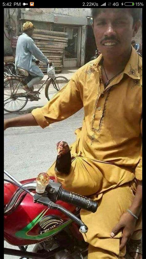 I Show You My Phenix Show Me Bobs And Vagene 9GAG