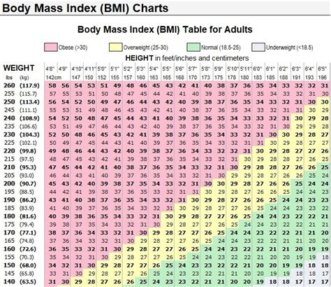 BMI Chart Excel