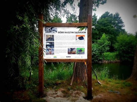 Oznakowanie dla ochrony bobrów Sozosfera ochrona środowiska